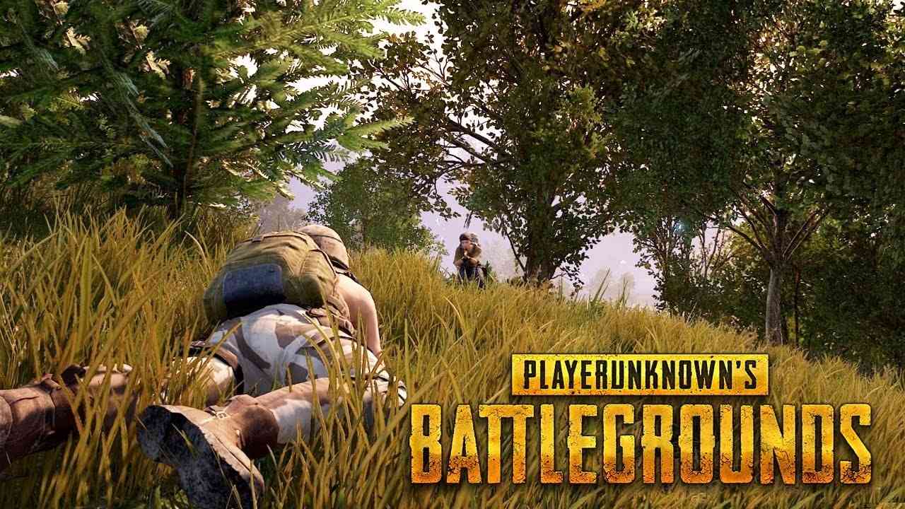 PUBG Devs Contemplate "Further Action" After Fortnite Reveals Battle ...
