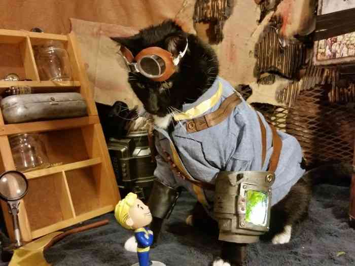This Collection of Cat Cosplay is The Cat's Meow