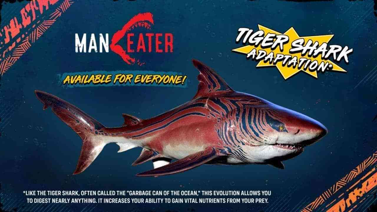 Maneater Expands Its Hunting Grounds to Steam, Xbox Game Pass, and ...
